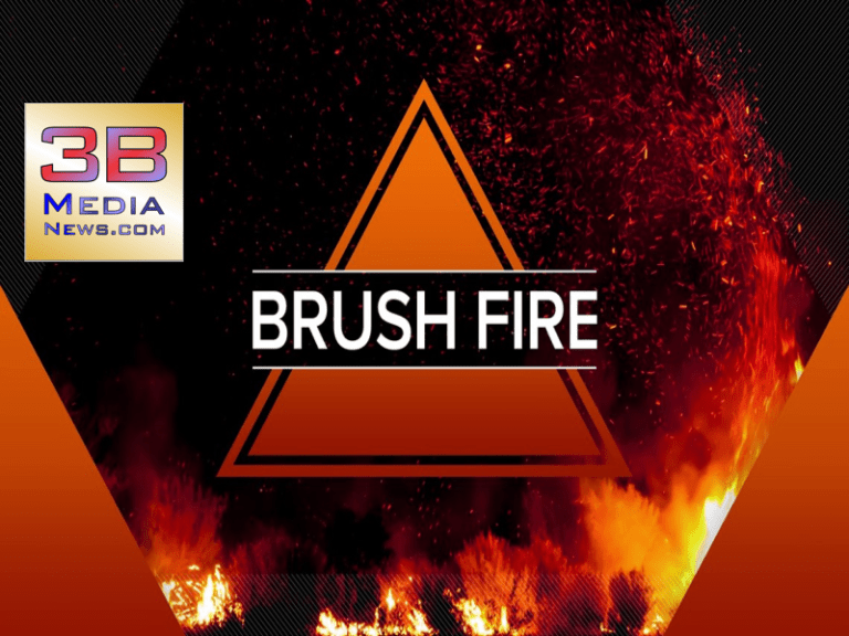 BRUSH FIRE REPORTED NEAR SHILOH BAPTIST CHURCH IN ROANE COUNTY – 3B ...