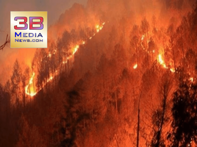 YESTERDAY MARKS 6 YEARS SINCE THE GREAT SMOKY MOUNTAINS WILDFIRE – 3B ...