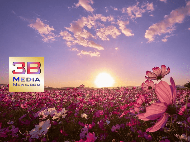 Obituaries – 3B Media News