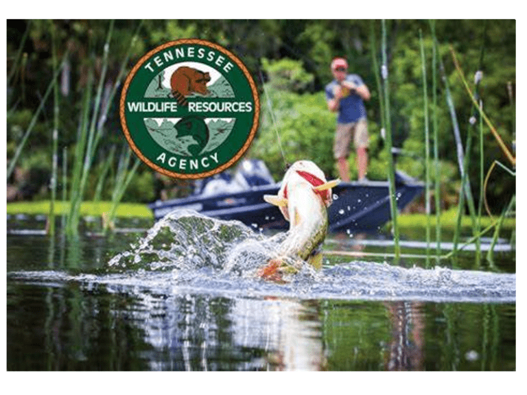 GOVERNOR’S PROCLAMATION RECOGNIZES NATIONAL HUNTING AND FISHING DAY ...