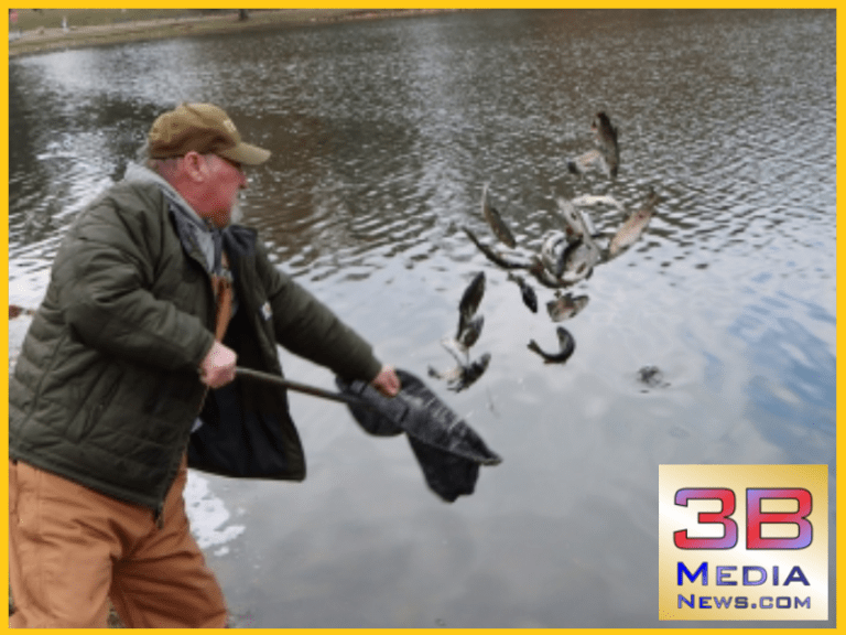TWRA BEGINS 2024-2025 TROUT STOCKING SCHEDULE – 3B Media News