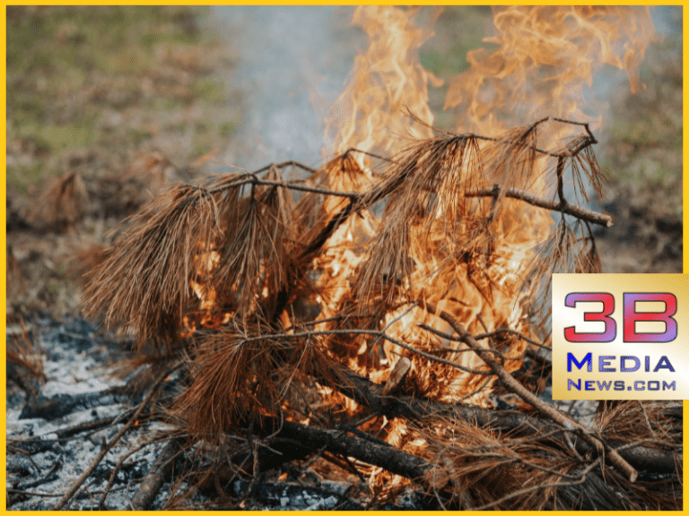 TENNESSEE RESIDENTS URGED TO BURN SAFELY AND RESPONSIBLY DURING ...