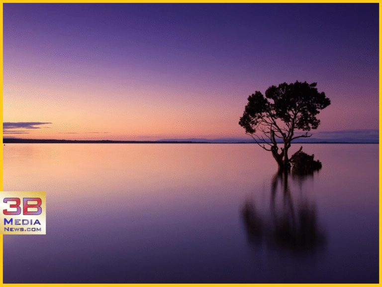 Michael Lewis Cooper, 72 – 3B Media News