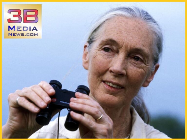 RENOWNED CHIMPANZEE EXPERT JANE GOODALL HAS PASSED AWAY AT AGE 91 – 3B ...