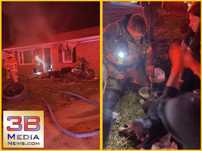 PUTNAM FIRE DEPARTMENT RESCUES DOG FROM HOUSE FIRE – 3B Media News
